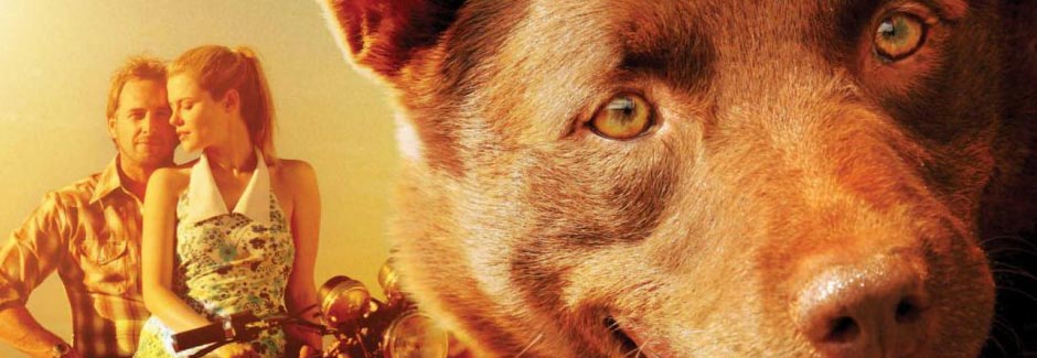 Soundfirm Post Production | RED DOG